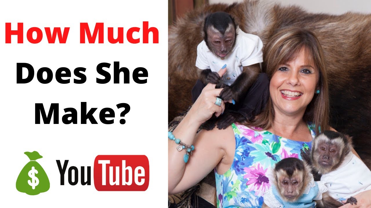 How Much Does Missty Flower Monkeys Make on YouTube - YouTube