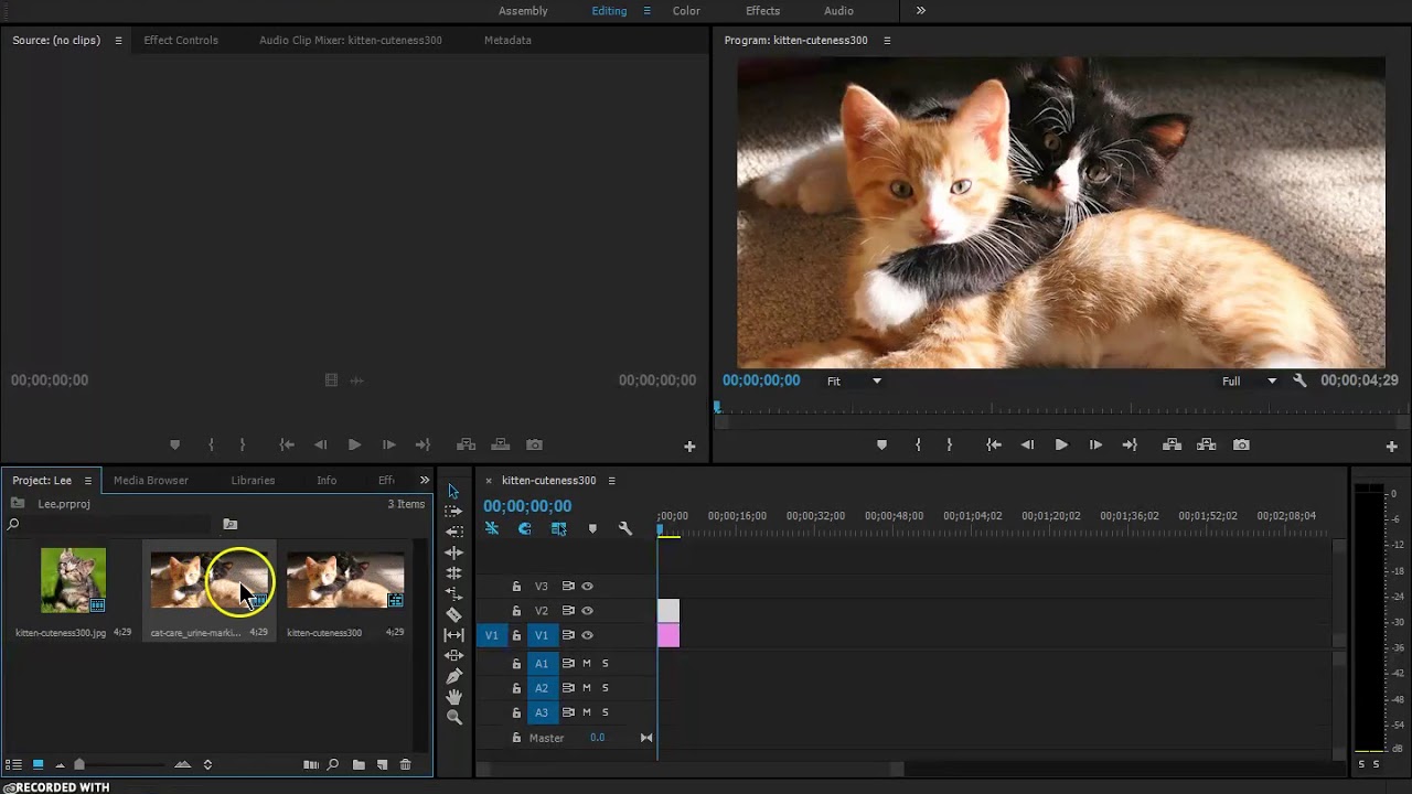 How To Resize The Preview Window To Fit A Video Or Picture In Adobe how-to-resize-the-preview-window-to-fit-a-video-or-picture-in-adobe