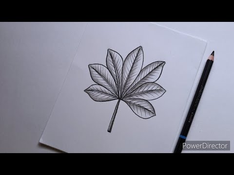 How To Draw A Autumn Leaf With Shading Step-By-Step Tutorial - YouTube