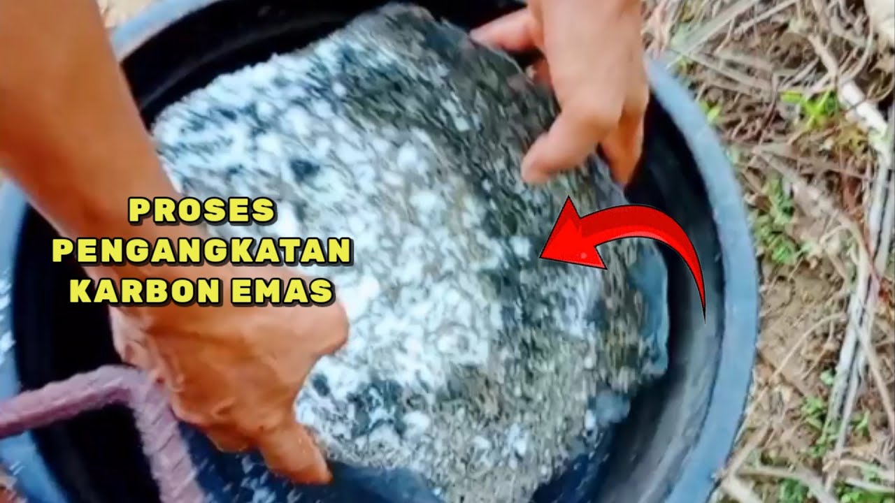 proses pengangkatan serbuk emas - YouTube