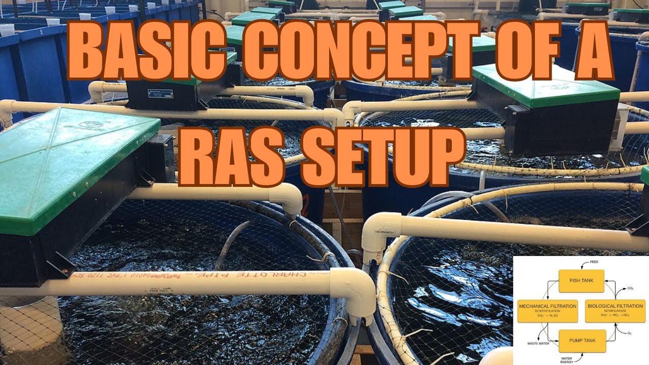 Basics of a RAS setup (DIY) - YouTube