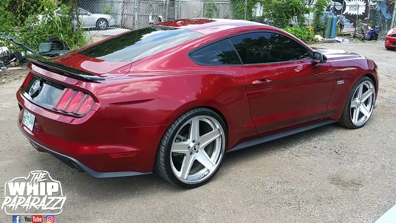 Ford Mustang 5.0 on 22" Forgiato Wheels - YouTube