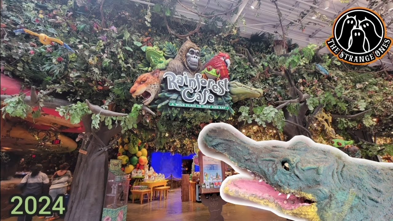 Rainforest Cafe 🐊 Full Walkthrough 🦜 Animatronics 🦋 2024 Ontario Mills ...