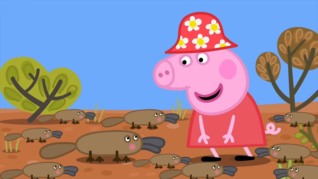 PEPPA PIG FINDS LOTS OF DUCKBILL PLATYPUSES COLORING 小豬佩奇最新第八季 發現很多可愛的 ...