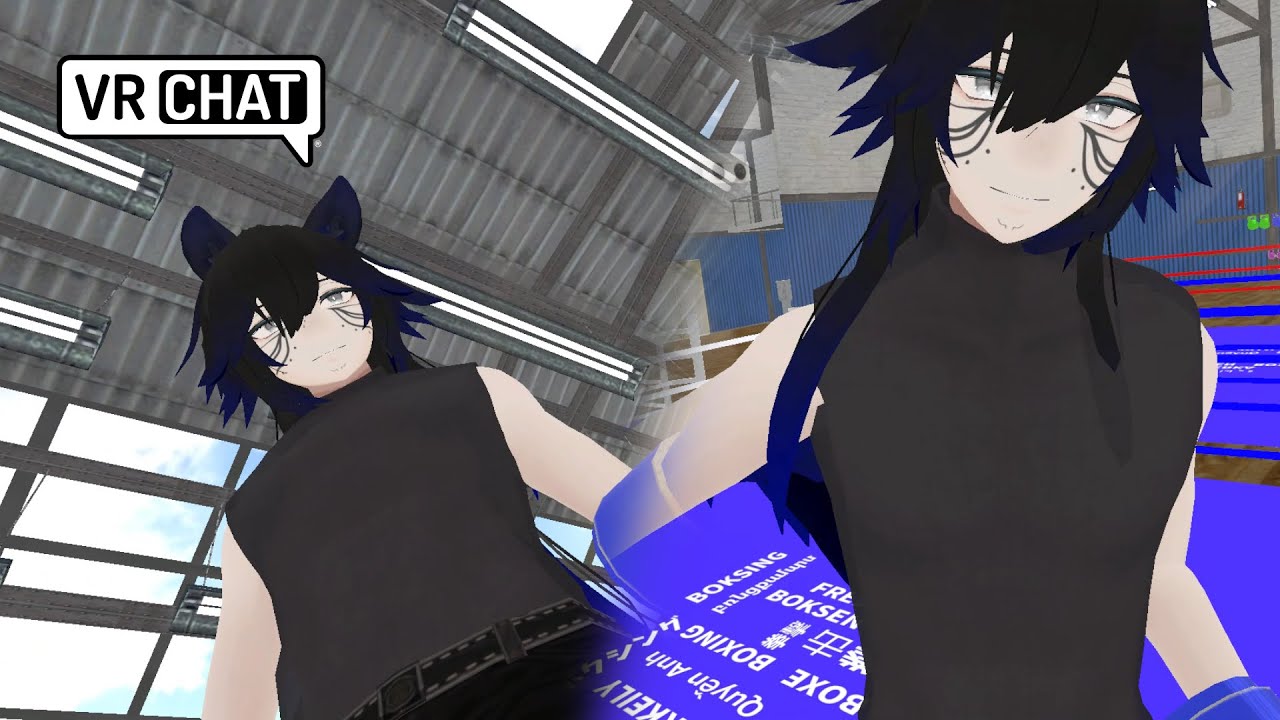 The Wild Wolf🐺 VRchat POV BOXING - YouTube