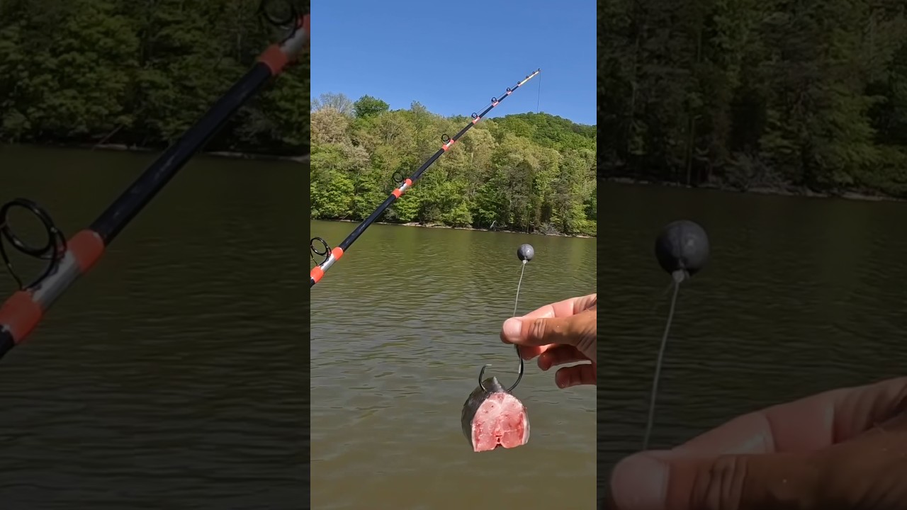 Simple and Effective Catfish Rig - Fishing