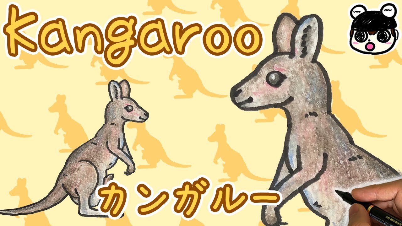 【Animals】How to draw Kangaroo | step by step - YouTube