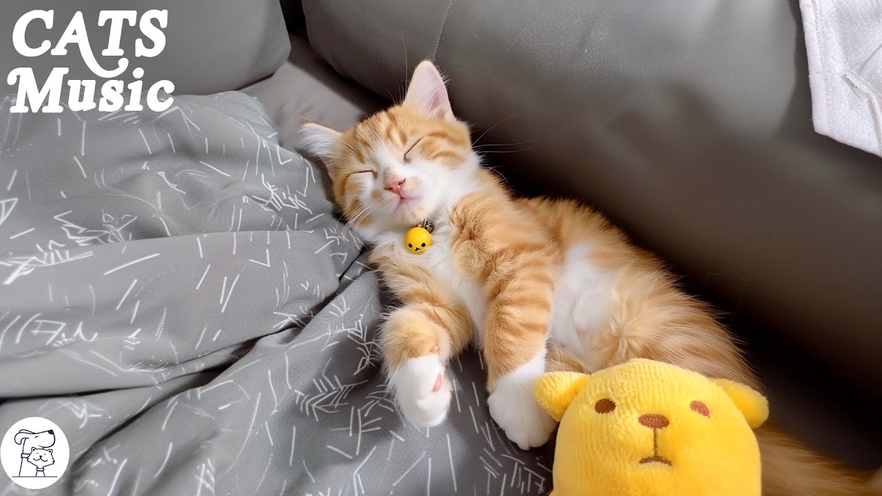 [4K] EXTREMELY Soothing Cat Therapy Music - Relax Your Cat - Music to ...