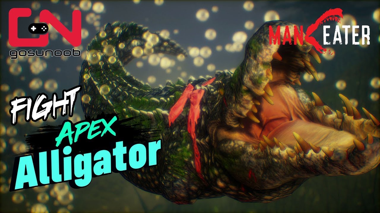 Maneater Apex Alligator VS Bull Shark Boss Fight - Gator Meat Trophy ...