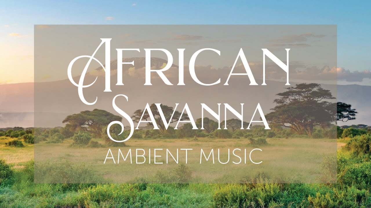 African Savanna | Music and Background Ambience - YouTube