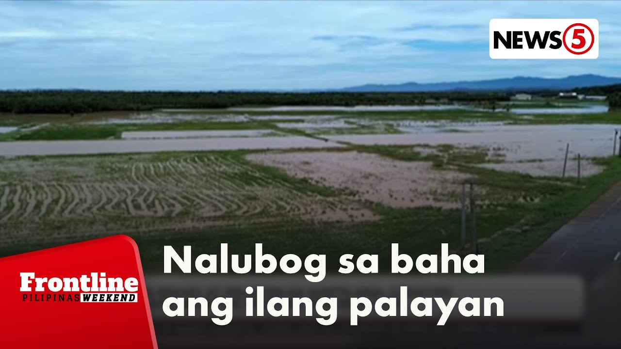 Ilang bahay, palayan sa Cagayan, nalubog sa baha matapos umapaw ang mga ...