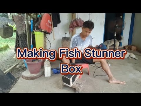 How to make best box for Fish stunner Electric Fishing ...