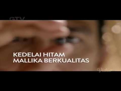 32) Kecap Bango - Kedelai Hitam Malika Berkualitas (2020/2020) - YouTube