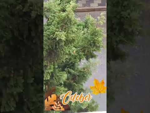 PAYIZ YAGIWI 🍁🍂