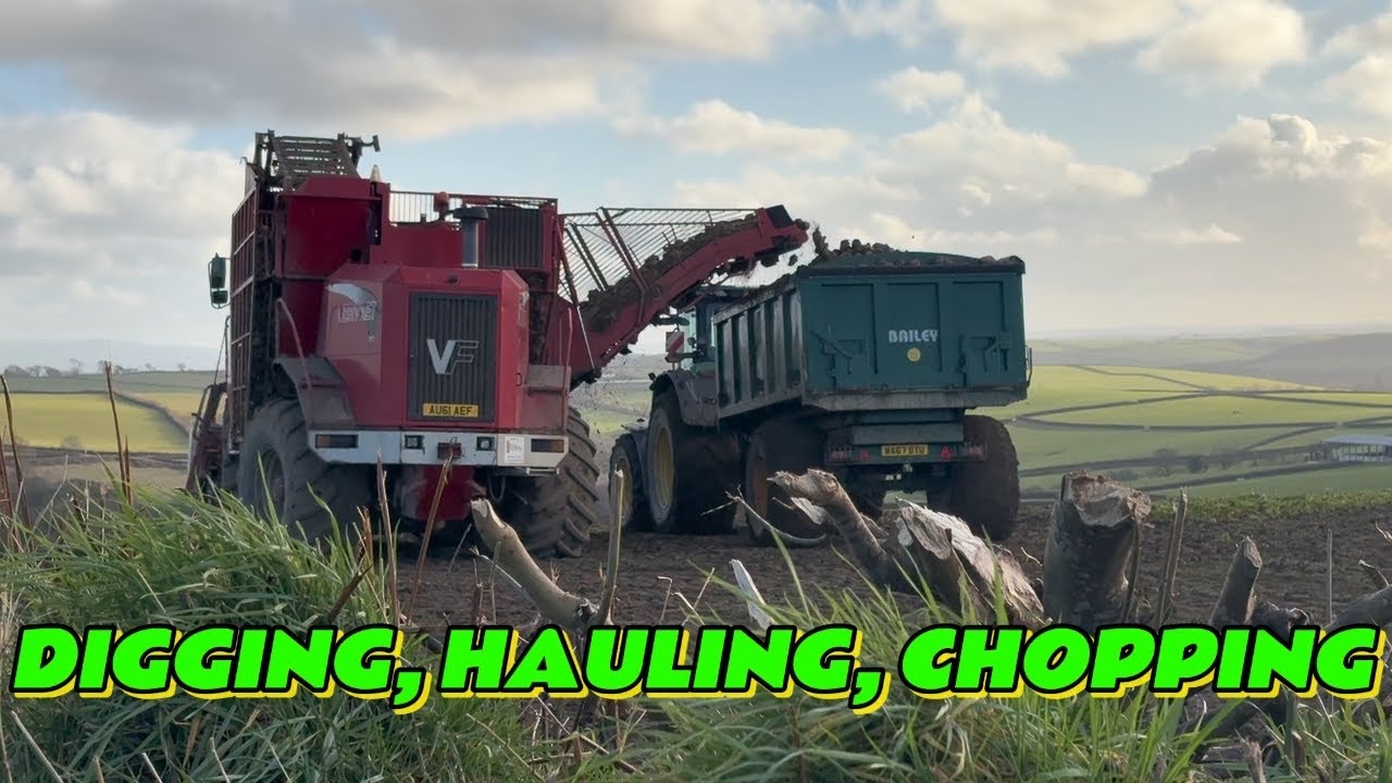 BEET HARVESTING, AND BURSTED OIL PIPES | Steve Lee Agri | The Content Farm