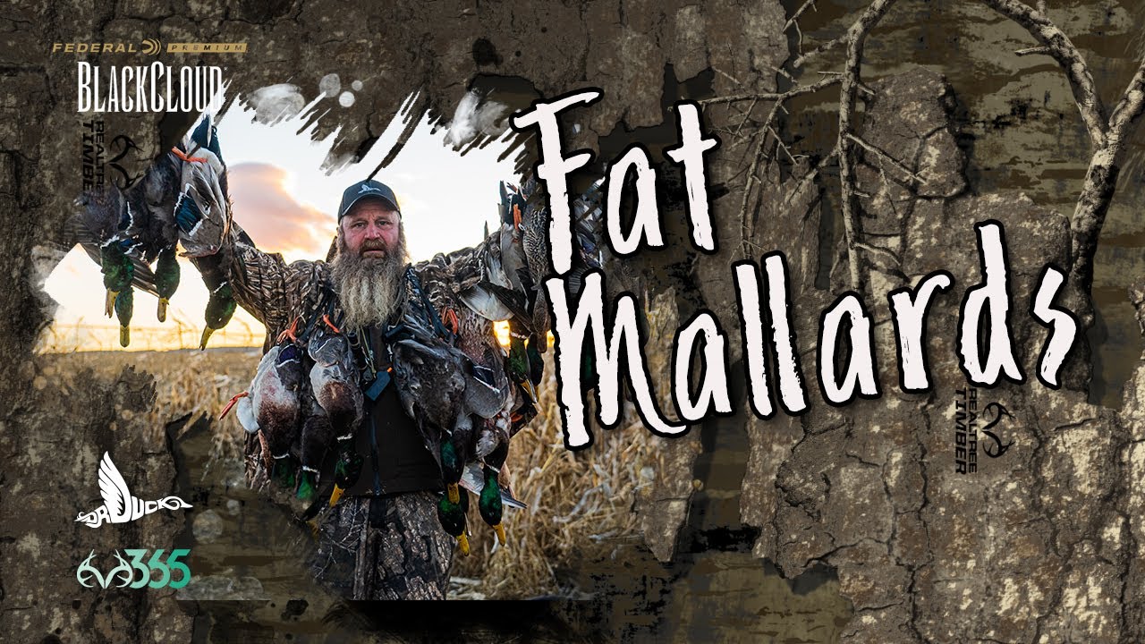Duck Hunting FAT Mallards | Riding the Hole | Black Cloud - YouTube