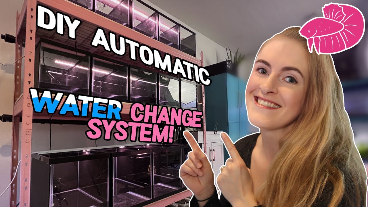 DIY Automatic Water Change System for my Betta Fish Projects - Plumbing Walkthrough! - YouTube