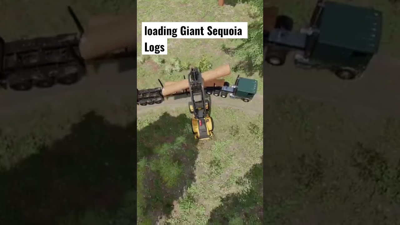 Loading Giant Sequoia Logs FS22 farmingsimulator22 volvo haul Loading Giant Sequoia Logs FS22 farmingsimulator22 volvo haul