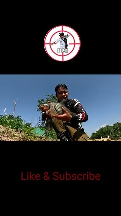 TAWES PURBA....||ED91 #shorts - YouTube