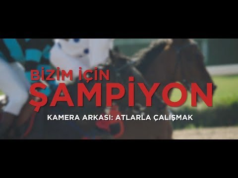 Bizim İçin Şampiyon - Kamera Arkası Atlarla Çalışmak