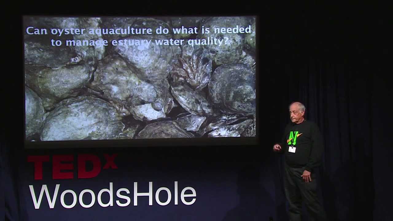 Ron Zweig - TEDxWoodsHole - The Oyster Collective: Resistance is Futile ...