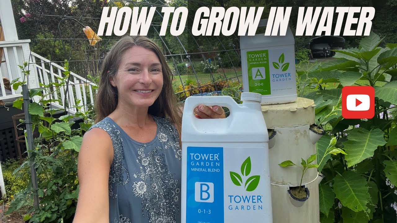 How to Grow in Water - YouTube