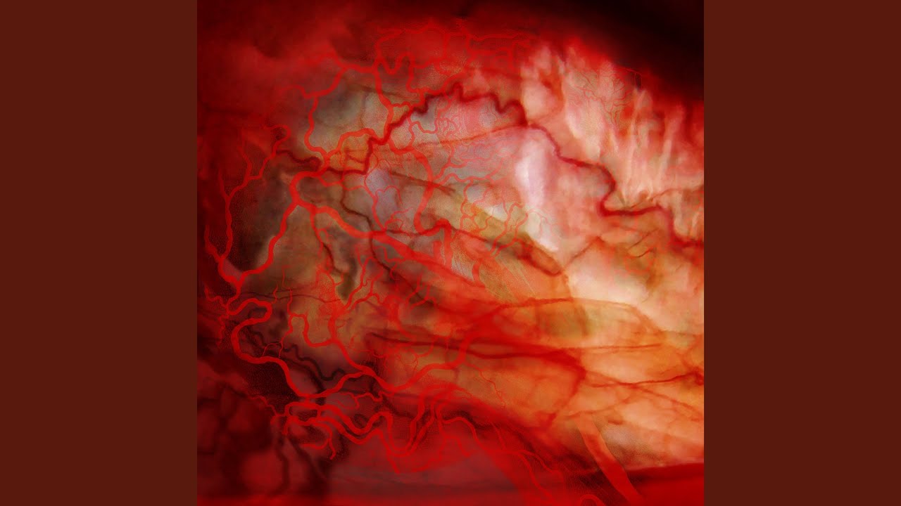 Oxygenate - YouTube
