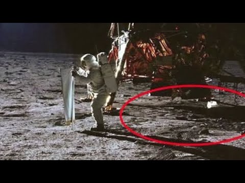 lançamento artemís 1 agora - YouTube