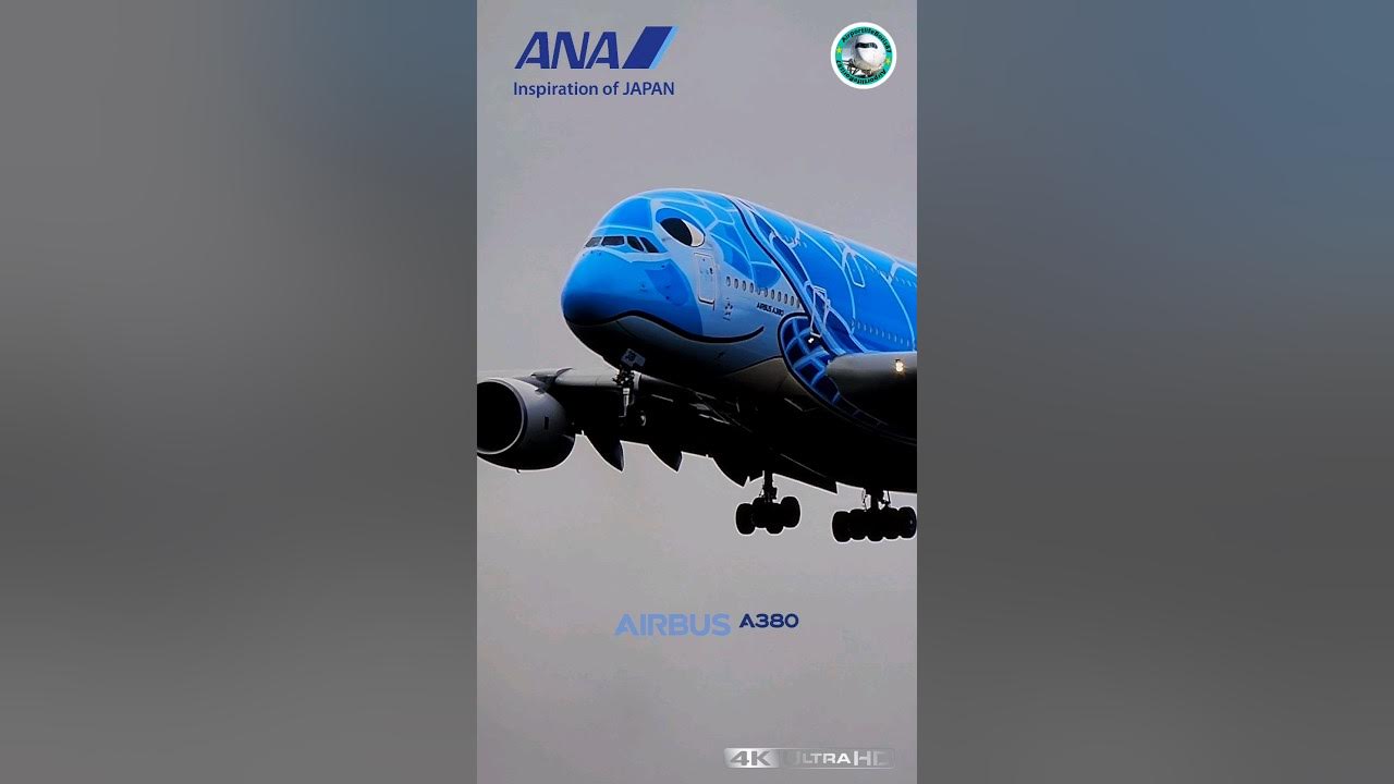Airbus A380 , All Nippon Airways - YouTube