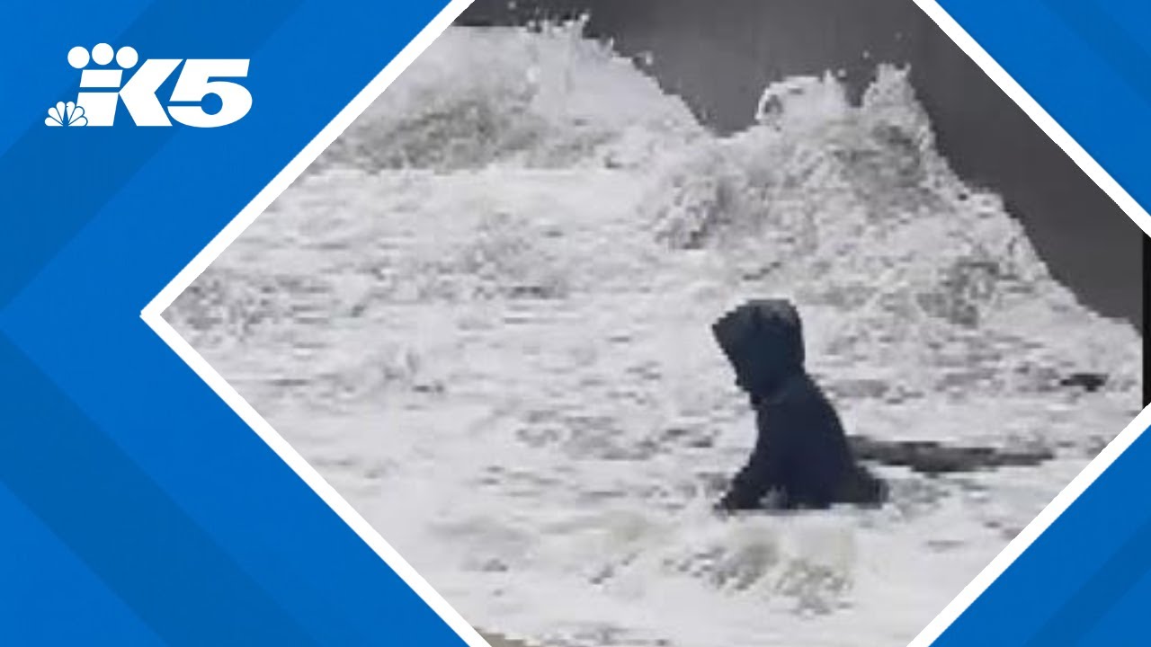 Scary video shows woman nearly pulled under by waves in Oregon - YouTube