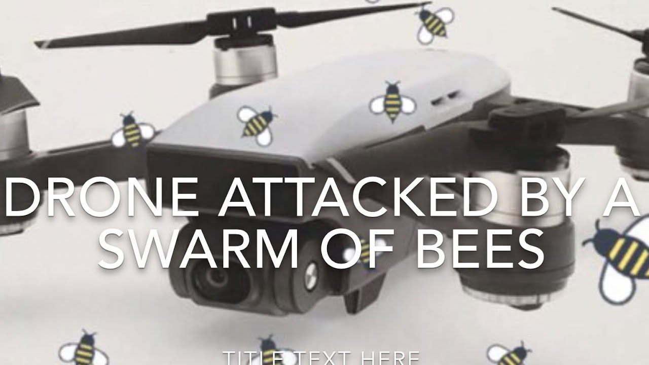 Drone Vs A Swarm Of Bees (And A Dog) - DJI Spark - YouTube