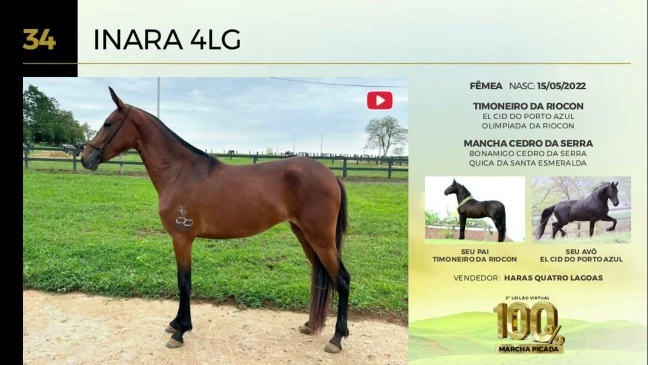 34 INARA 4LG - YouTube