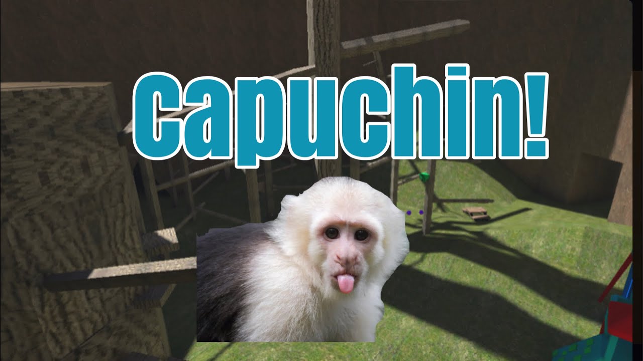Playing Capuchin in Vr - YouTube