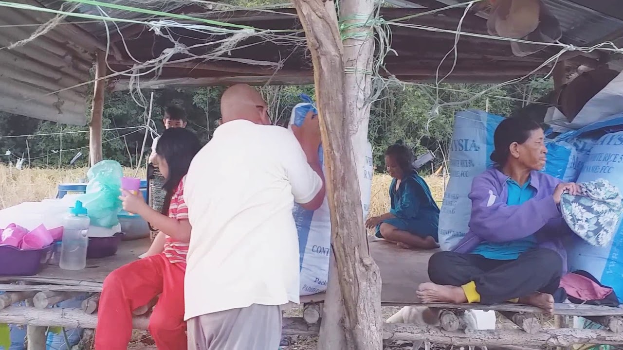 Aktiviti Orang kampung Mengetam Padi Di Pitas Sabah | 16/03/2020 - YouTube