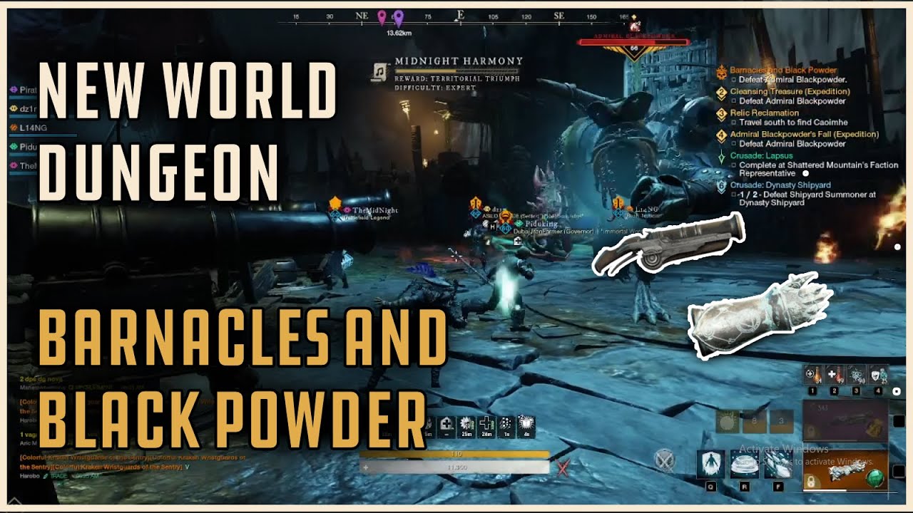 New World Dungeon - Barnacles and Black Powder first try - Nereid ...