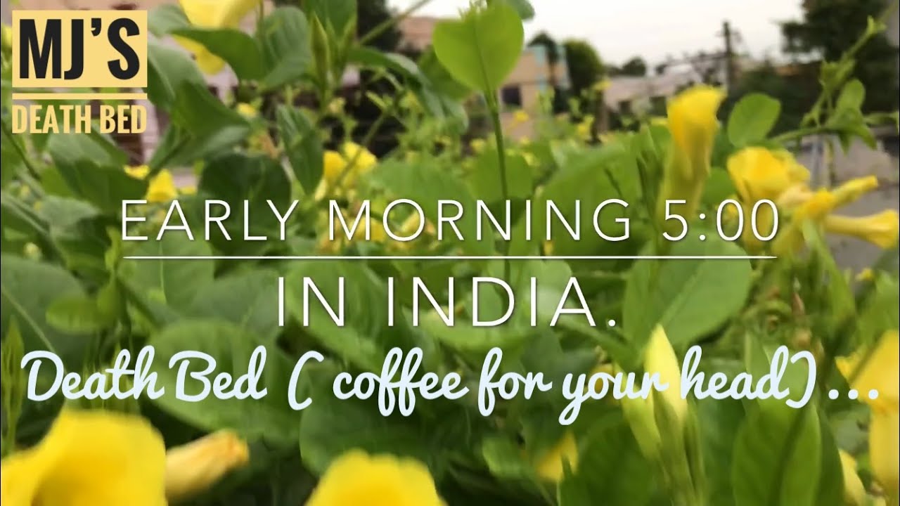 Death Bed ( coffee for your head )... || morning 5:00 in india - YouTube