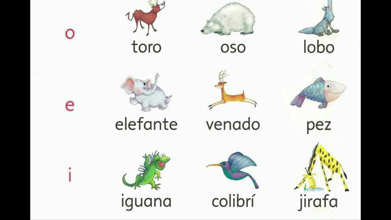 Las cinco vocales, a, e, i, o, u, palabras que tienen estas letras ...
