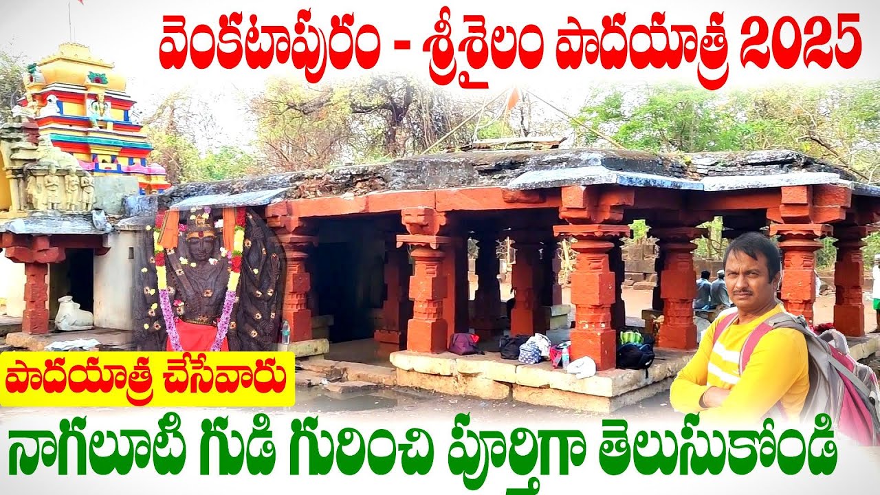 Srisailam padayatra 2025 | Venkatapuram to Srisailam nallamala ...