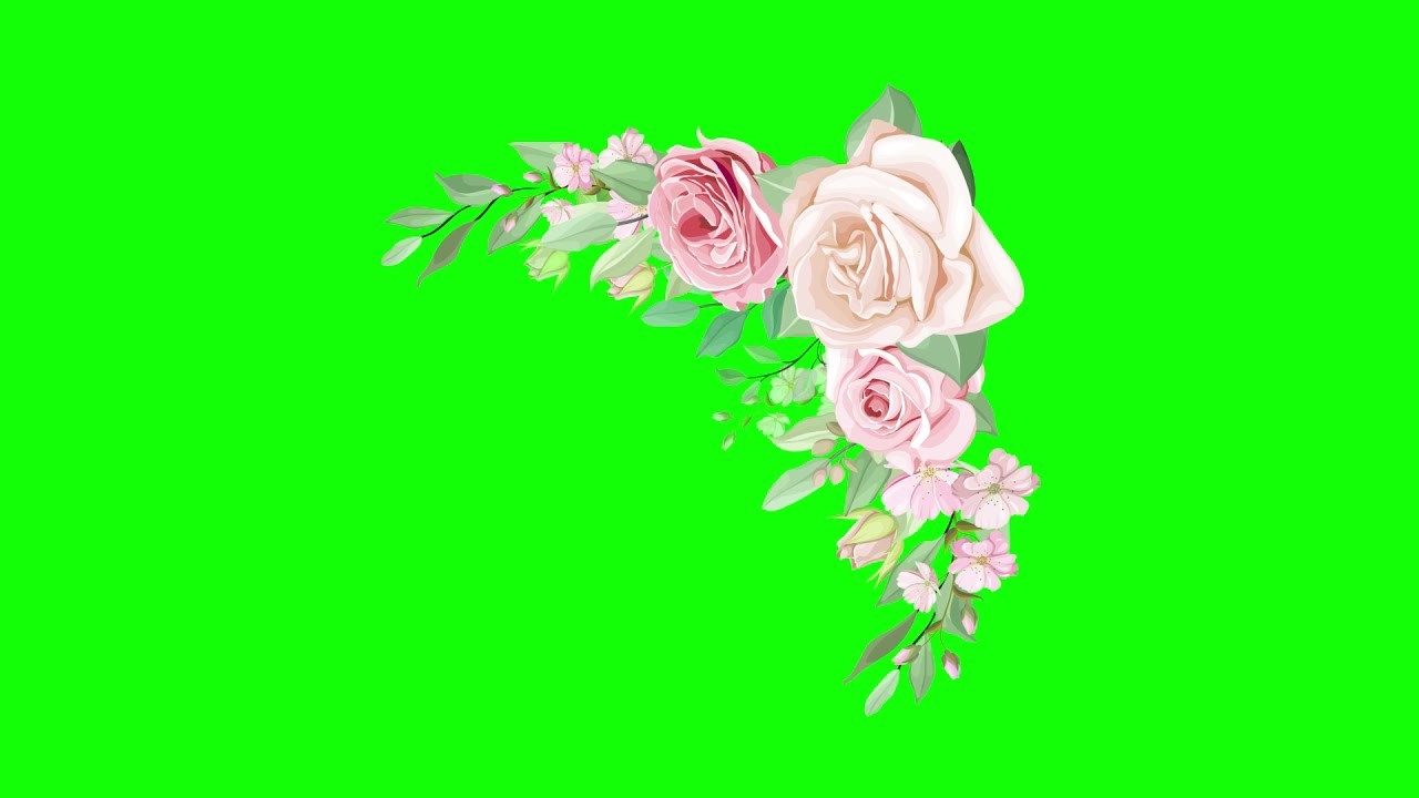 Green Screen Animasi Bunga Untuk Bikin Video Undangan Pernikahan - YouTube