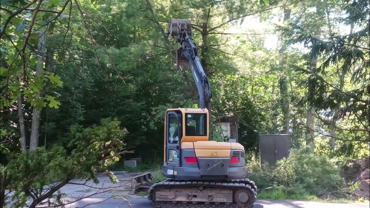 Tree Murder 🌳 tearing down a pine tree with an excavator ~ New ...