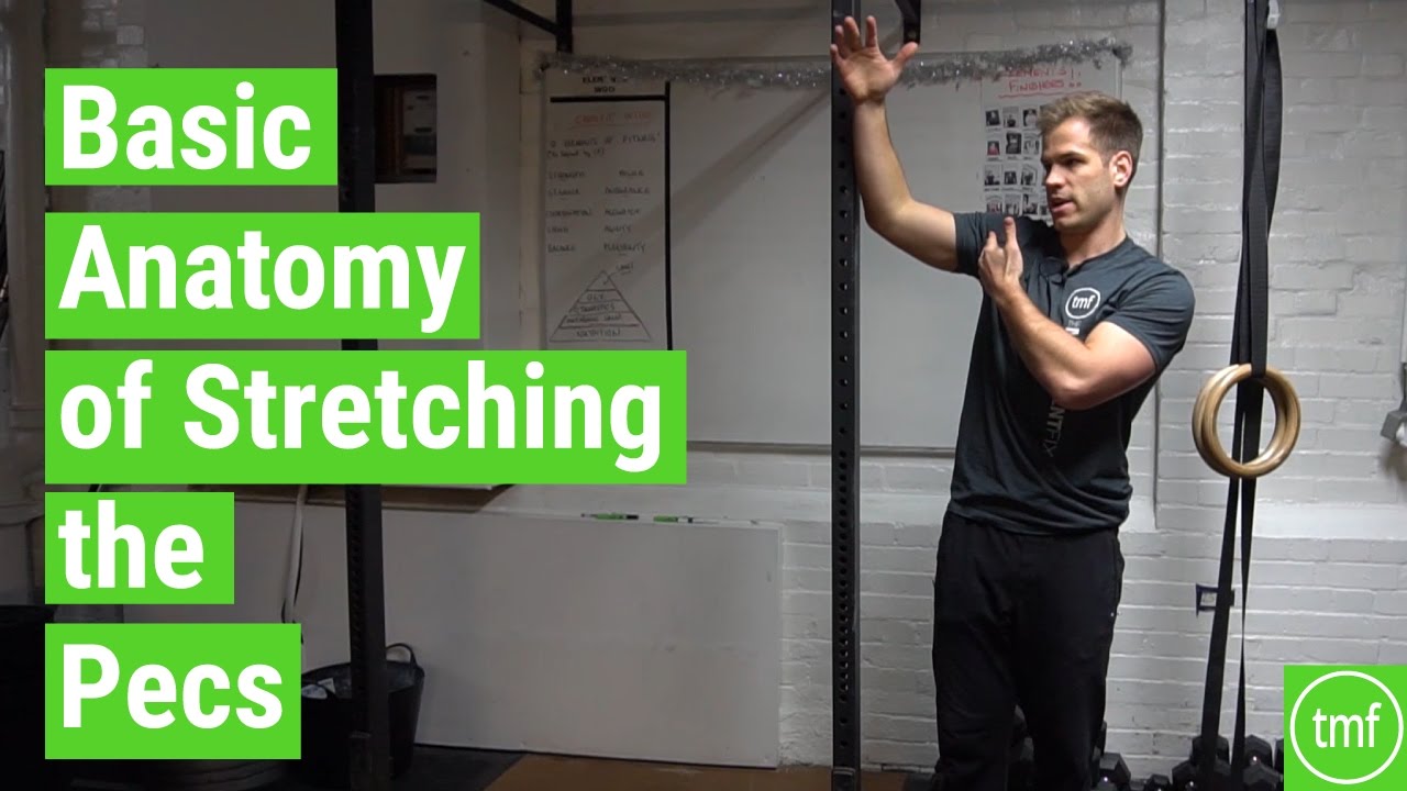 Basic Anatomy of the Pec Major and Pec Minor | Ep 101 | Movement Fix ...