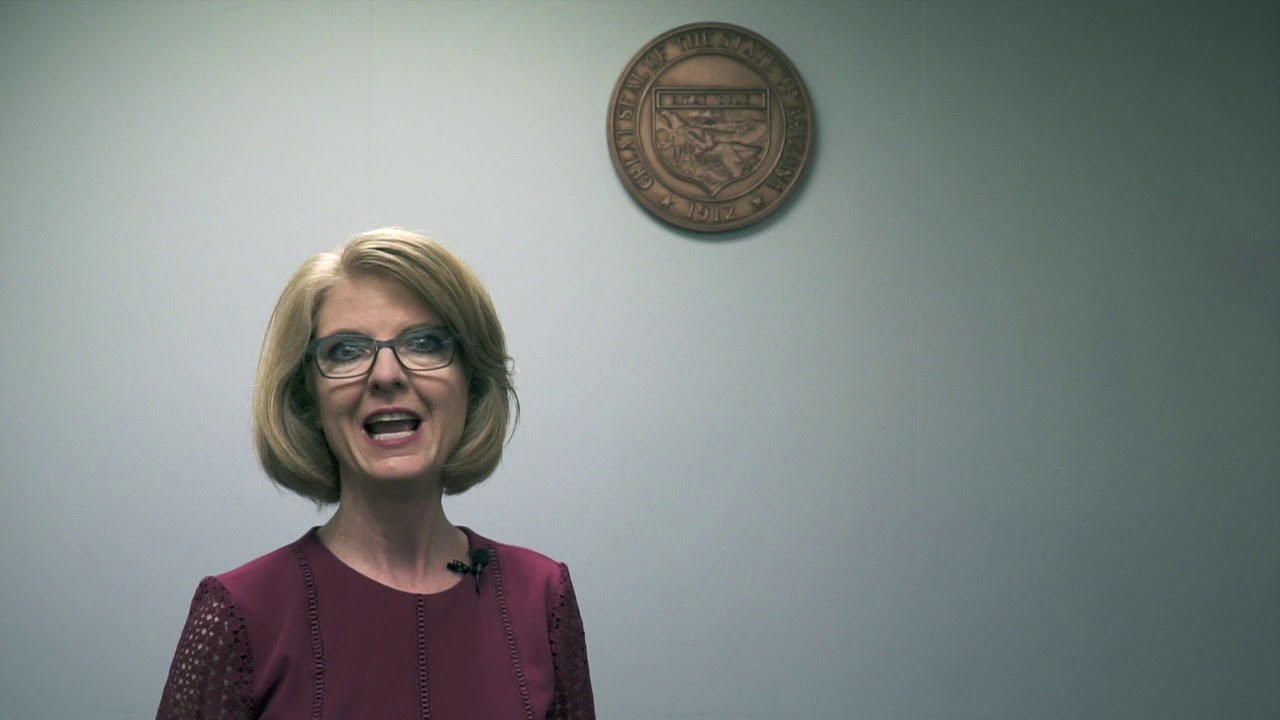 Arizona Senator Heather Carter - YouTube