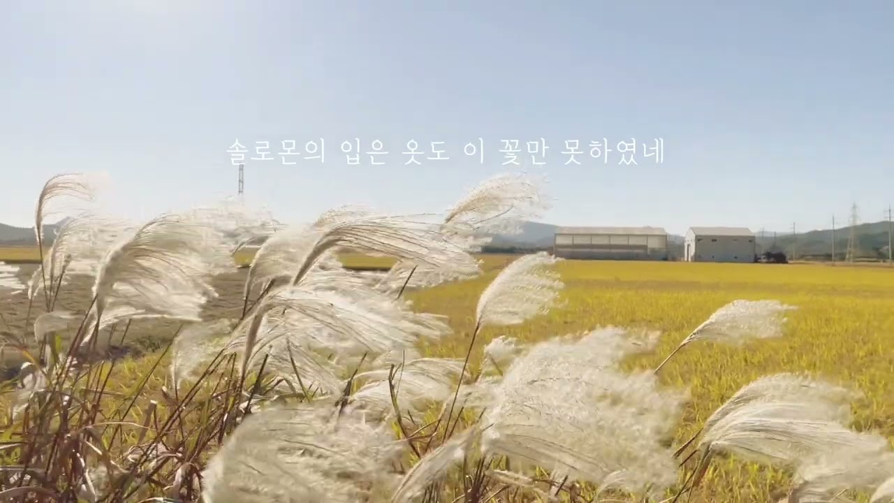 공중 나는 새를 보라 Piano Melody 찬송가 588장 감사절 찬송가 Youtube