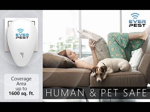 Ever Pest - Ultrasonic Pest Repeller - Repel Rodents, Ants, Cockroaches ...