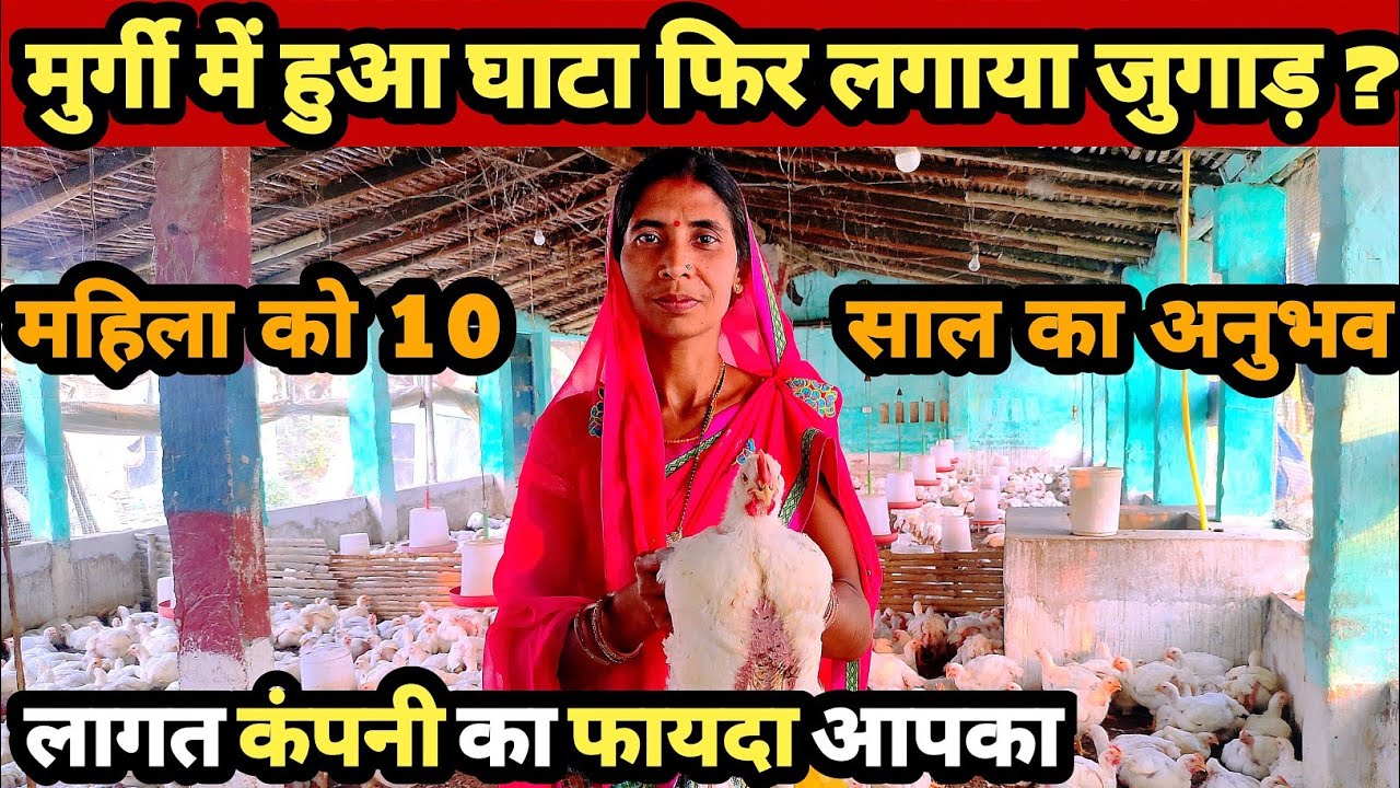 Murgi palan kaise kare | शालीमार मुर्गी | Shalimar murgi farm | Boiler ...