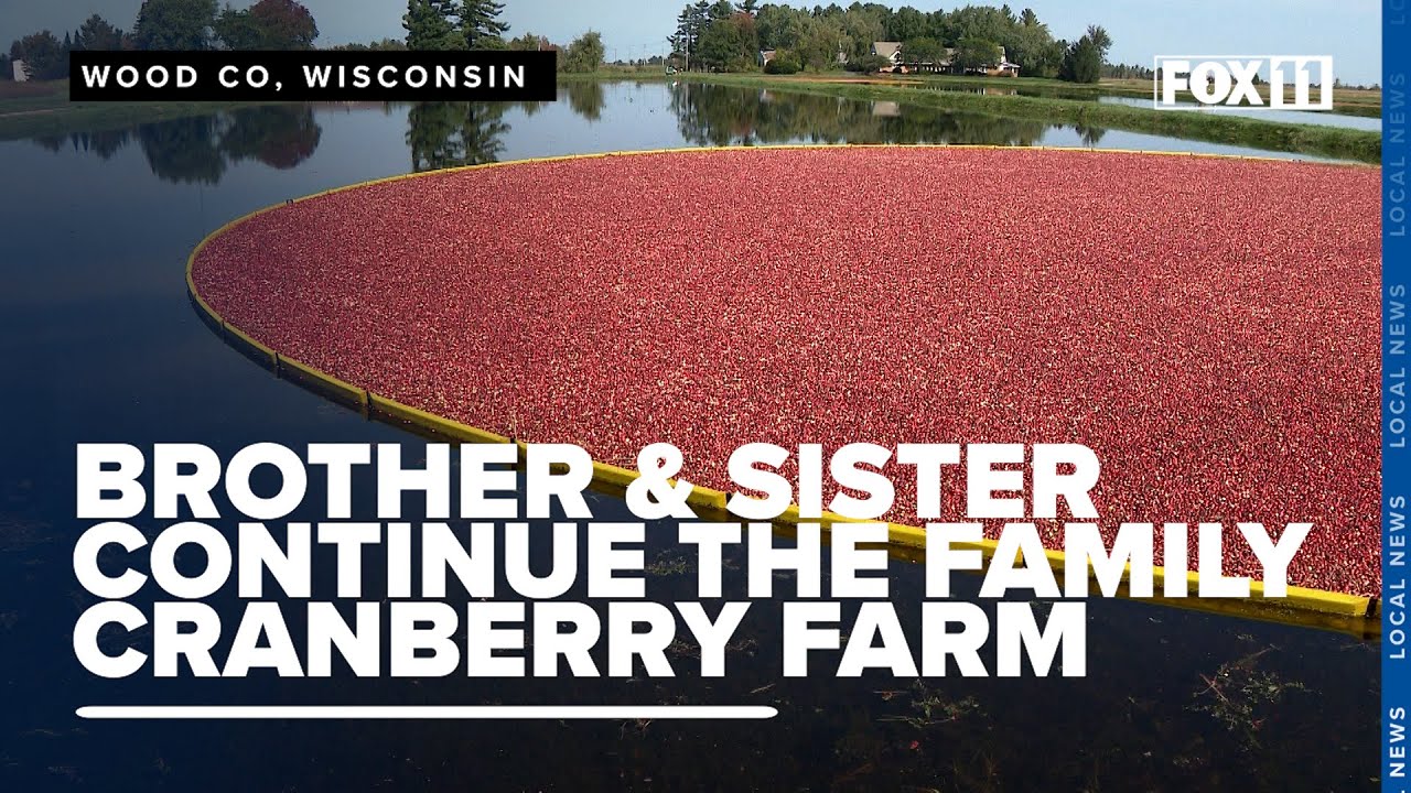 Central Wisconsin cranberry growers say family traditions are strong as ...