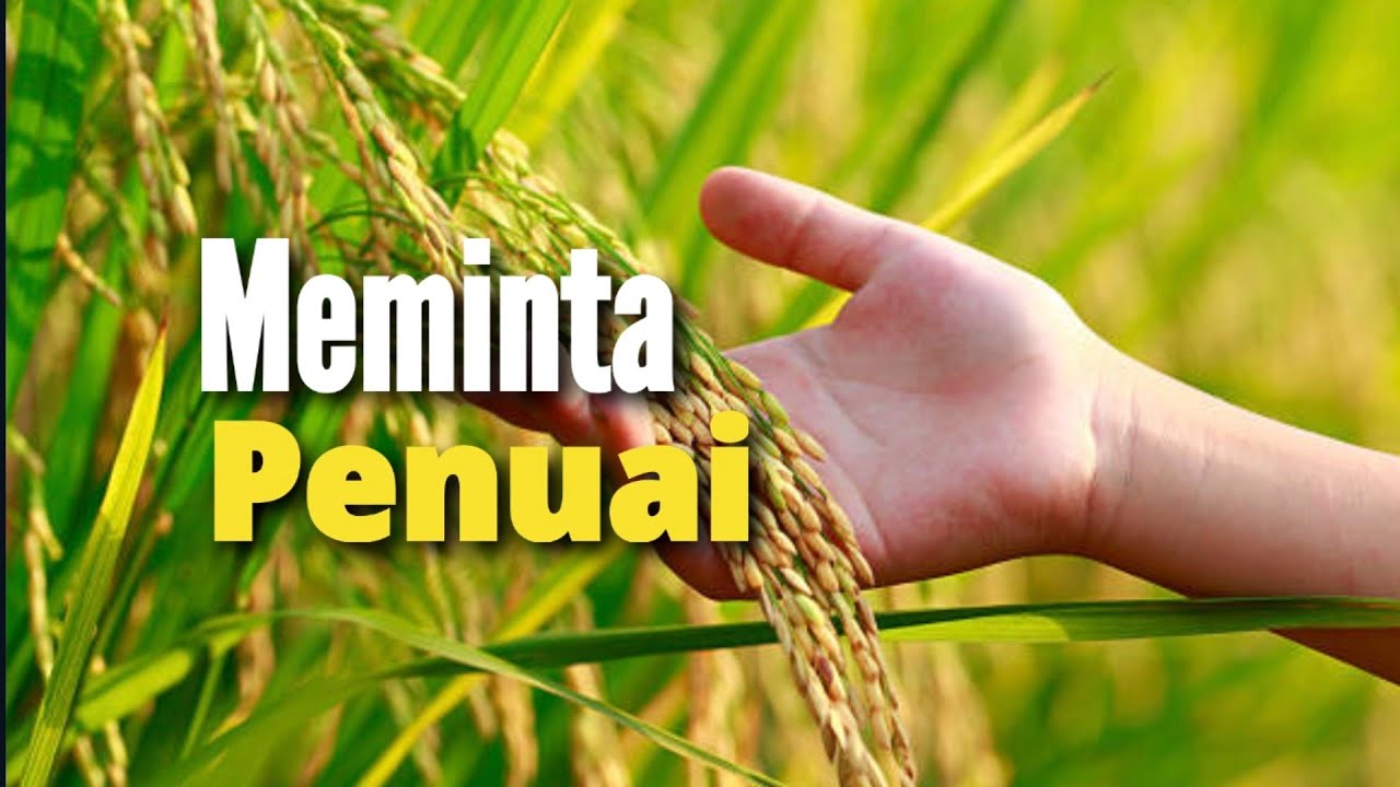 Meminta Penuai - Renungan dan Doa Pagi Suara Injil 2/3/2025 - YouTube