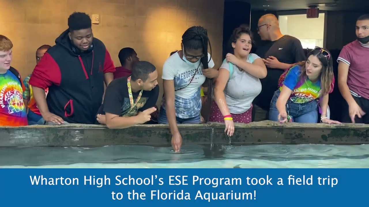 Wharton High School ESE field trip to the Florida Aquarium - YouTube