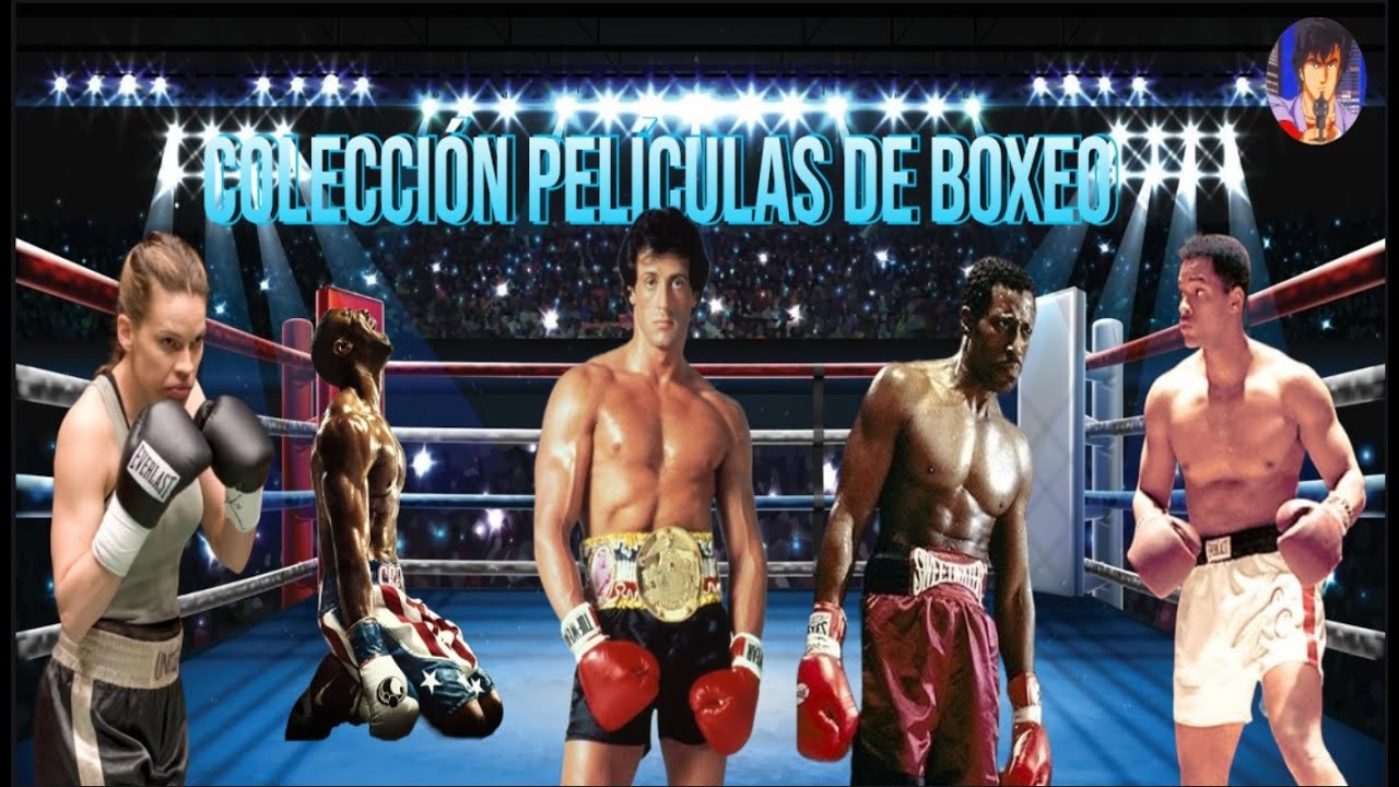 PELÍCULAS DE BOXEO🥊 MI COLECCIÓN🎬💿📦UNBOXING #boxeo - YouTube