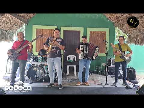 Pepeca do Acordeon só pra relaxar